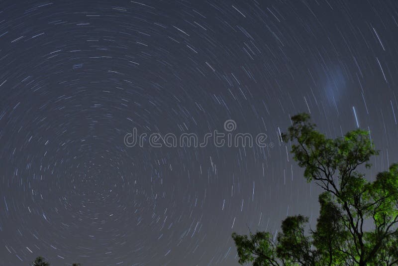 Circumpolar Stars in the Night Sky Behind Trees Stock Image - Image of ...