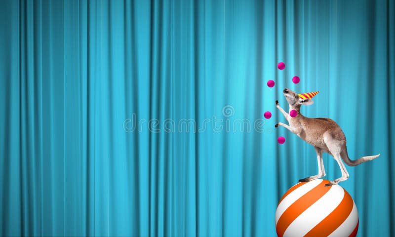 Circus animals stock photo. Image of acrobatic, equilibrium - 59875192