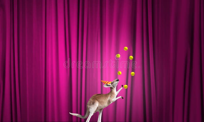 Circus animals stock image. Image of juggling, sphere - 59956015