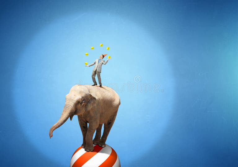 Circus Animals Performance . Mixed Media Stock Image - Image of ...