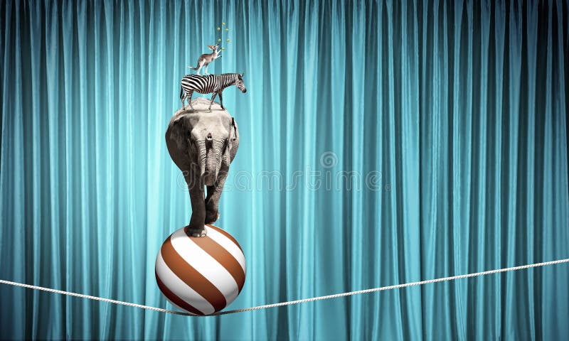 Circus animals stock illustration. Illustration of acrobatic - 59808140