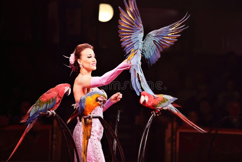Circus stock photo. Image of women, medrano, cyrk, birts - 74881772