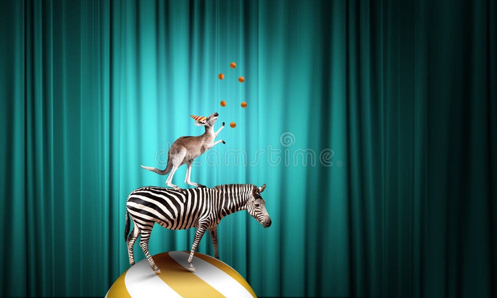 Circus in city stock photo. Image of stage, surreal, elephant - 59024254