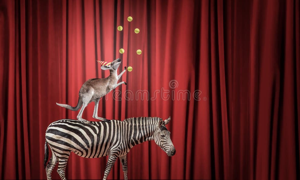 Circus in city stock photo. Image of surrealism, concentration - 59708652