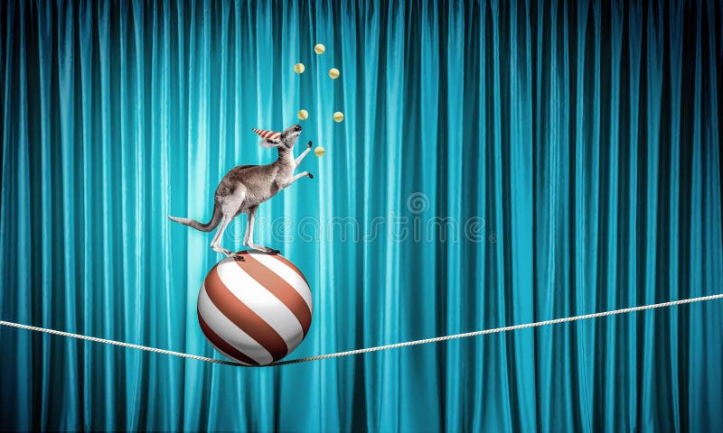 Circus Kangaroo Stock Illustrations – 59 Circus Kangaroo Stock ...