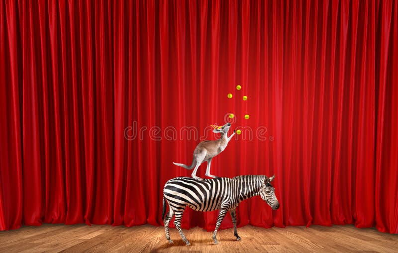 Circus in city stock image. Image of rope, standing, juggler - 59663277