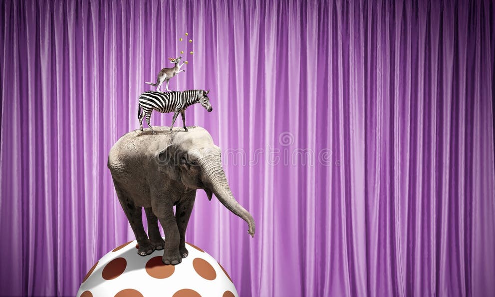 Circus in city stock image. Image of skilled, equilibrium - 59874581