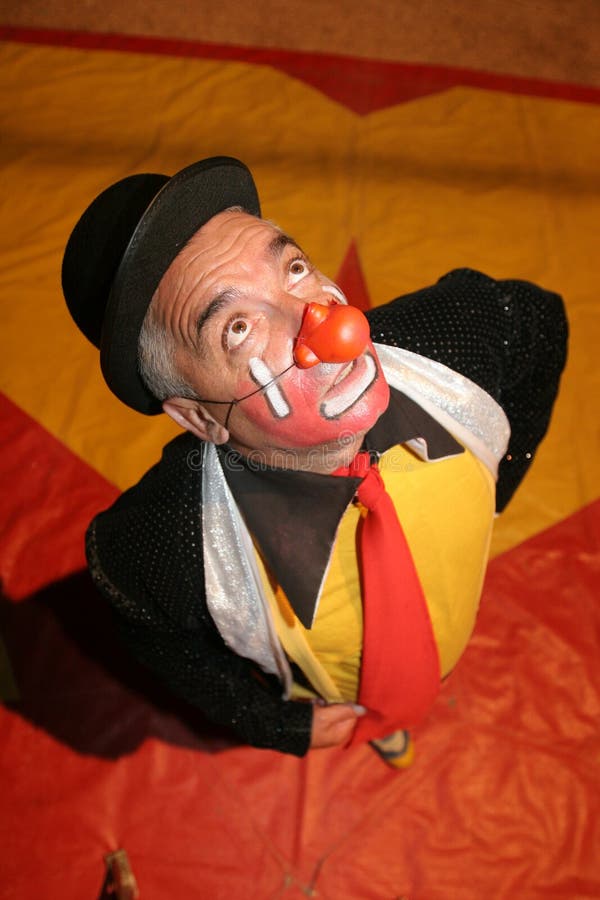 Circus clown stock image. Image of clown, funny, colorful - 7752249