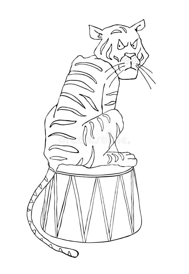 Circus Illustration With Tiger Stock Vector - Illustration of animal ...