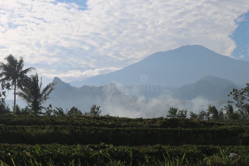 Ciremai Mountain View stock image. Image of plain, field - 204660005