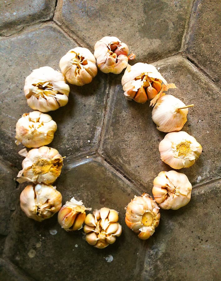 Cirled Garlics Stock Photos - Free & Royalty-Free Stock Photos from ...