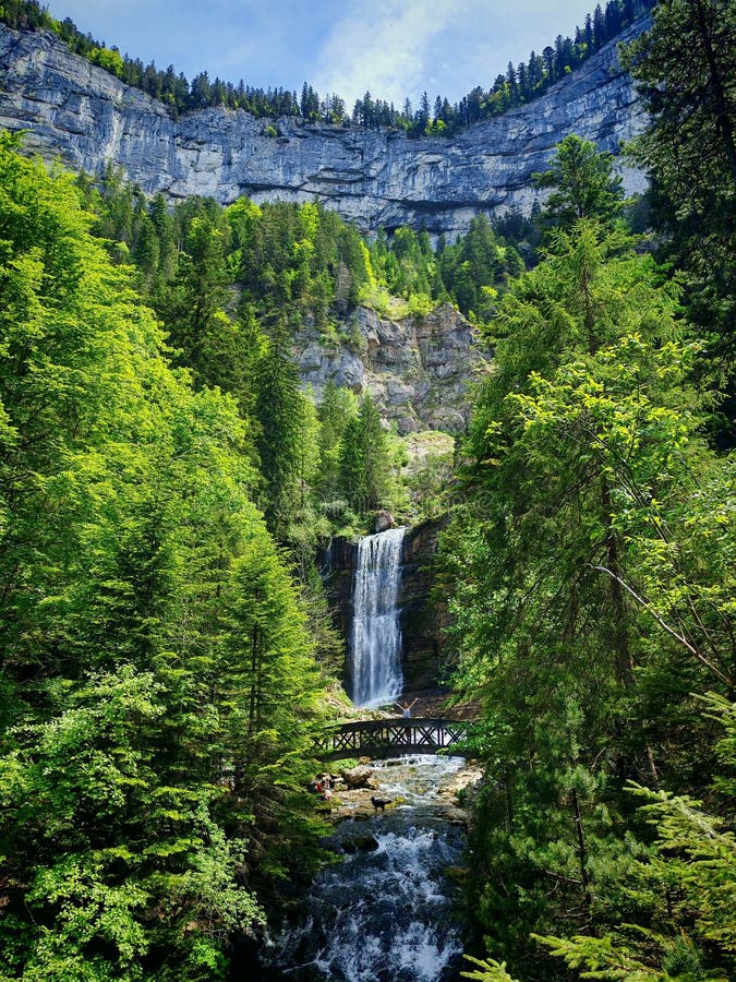 Meme De Noire Stock Photos - Free & Royalty-Free Stock Photos from ...