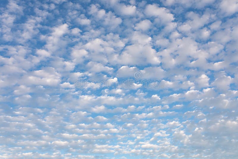 Cirrocumulus Clouds Sunset Sky Landscape Stock Photo - Image of ...