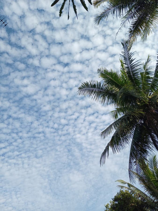 Cirrocumulus Clouds in the Sky, Kalimantan, Indonesia Stock Image ...