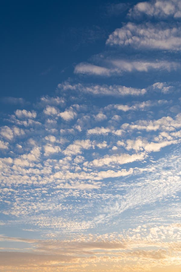 Cirrocumulus Clouds Sunset Sky Cloudscape Background Pattern Stock ...
