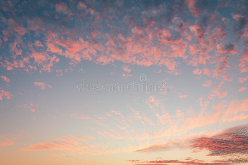 Cirrocumulus Clouds Sunset Sky Landscape Stock Image - Image of ...