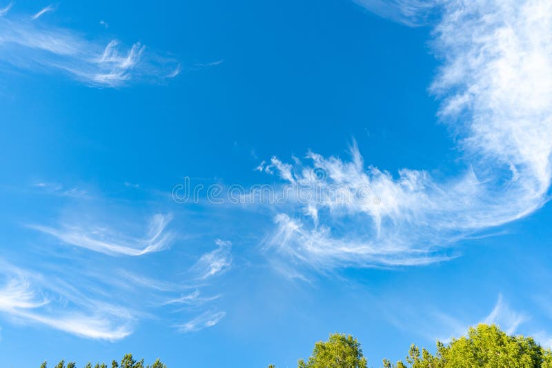 Cirrus is Cloud Stripe, White, Feathery, Ice Crystal. Blue Background ...