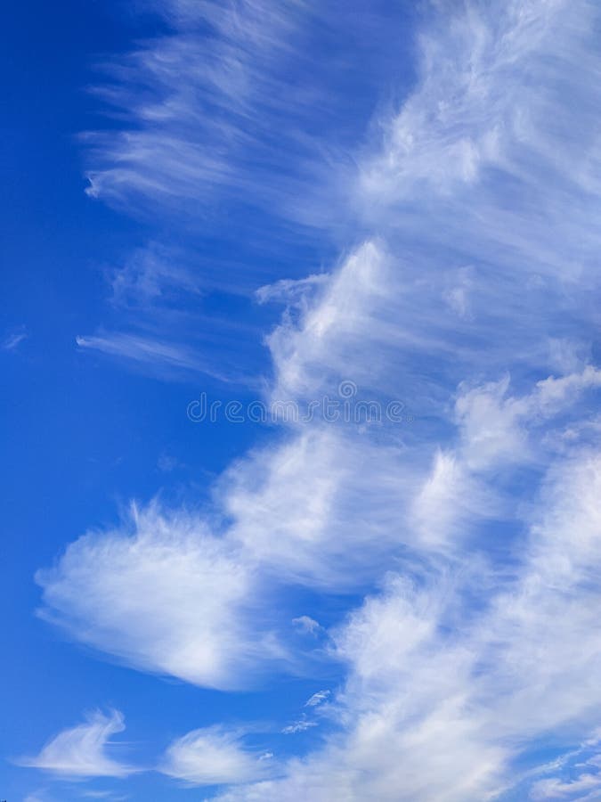 704 No Desktop Wallpaper Stock Photos - Free & Royalty-Free Stock ...