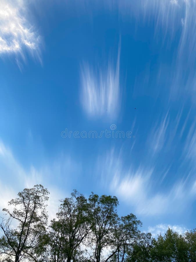 Cirrus Clouds stock photo. Image of nature, cloudscape - 205101872