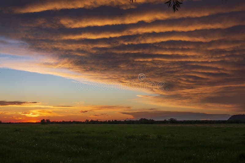 Cirrus clouds at sunset stock photo. Image of summer - 249798568