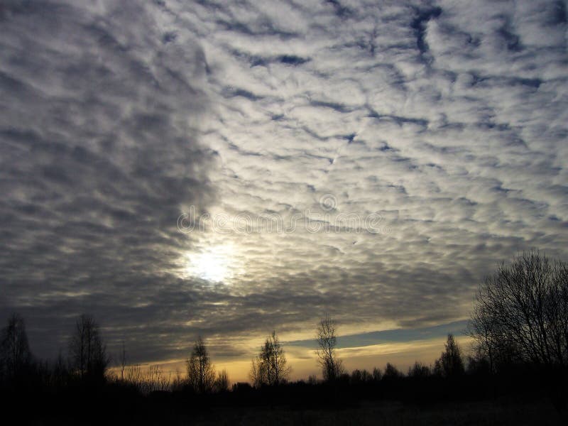 Cirrus clouds at sunset stock photo. Image of evening - 225255396