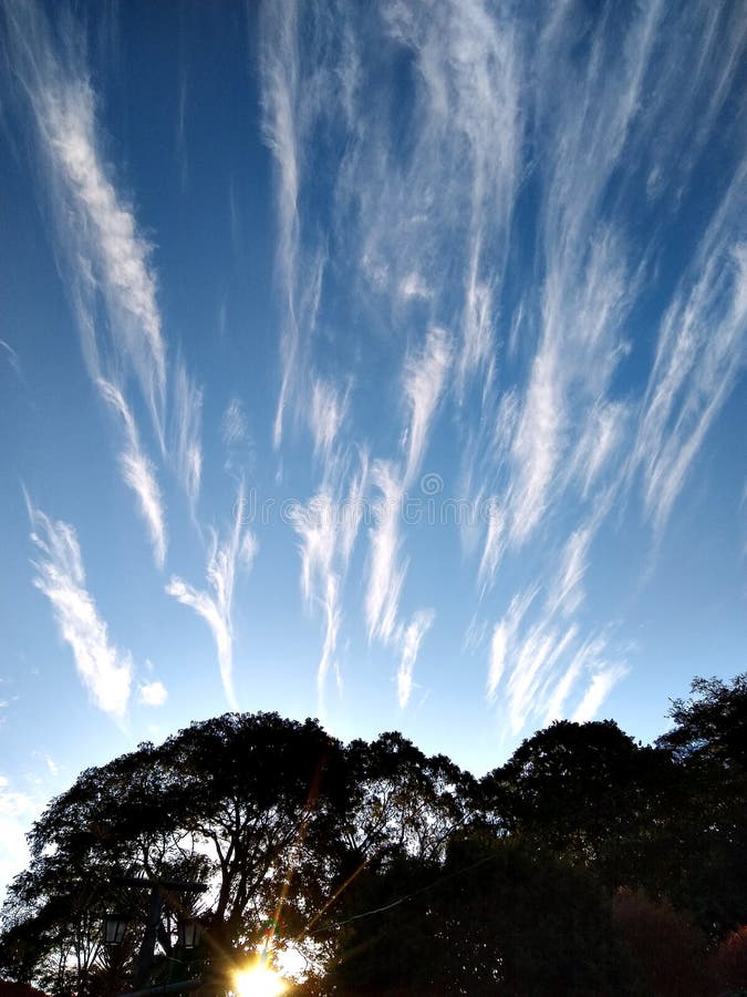 Cirrus and Wind in a Blue Sky. Stock Image - Image of blue, fluffy ...