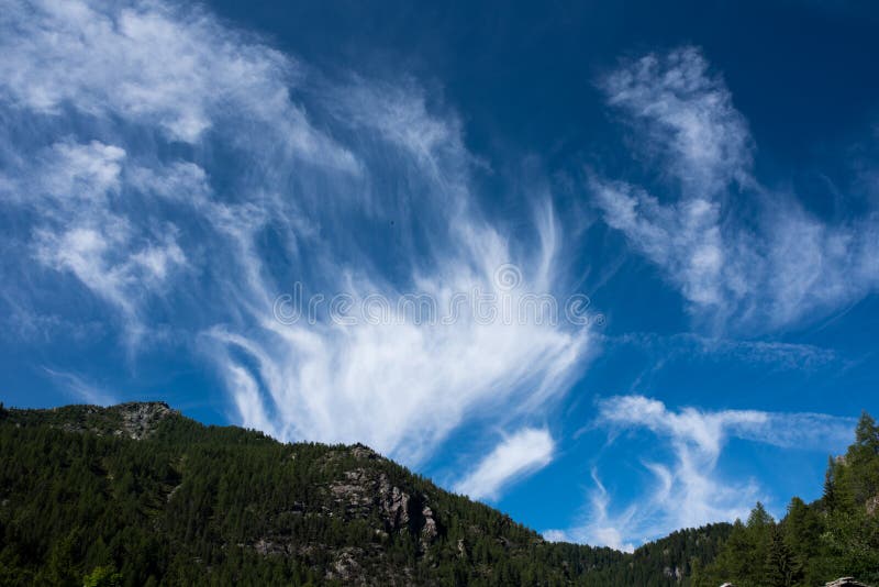 Cirrus Intortus, Type of Clouds Stock Photo - Image of conifer, cloudy ...