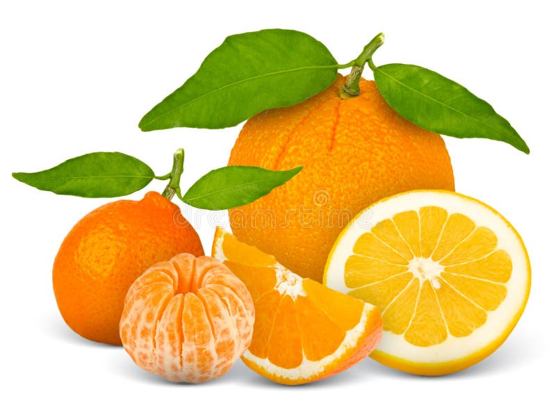 Cirtus stock image. Image of food, diet, full, freshness - 23779017