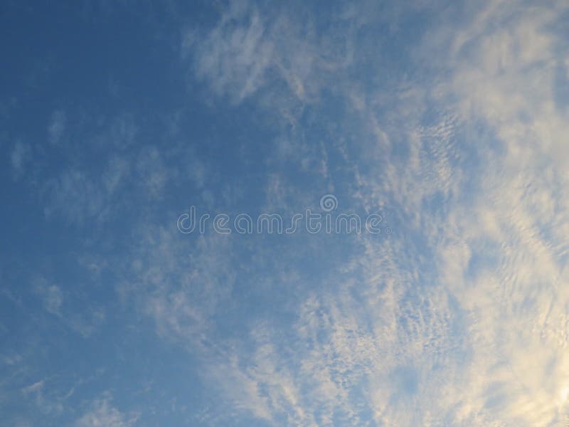 144 Cirus Stock Photos - Free & Royalty-Free Stock Photos from Dreamstime