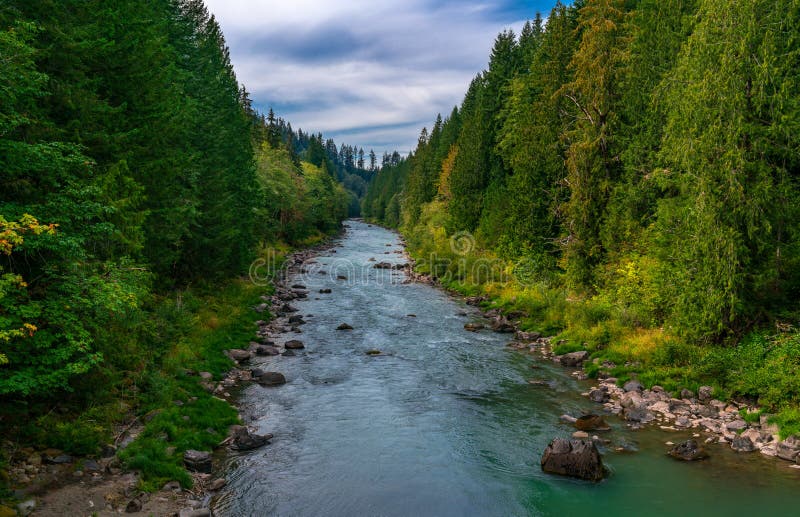 Cispus River in Late Summer Stock Image - Image of travel, stream ...