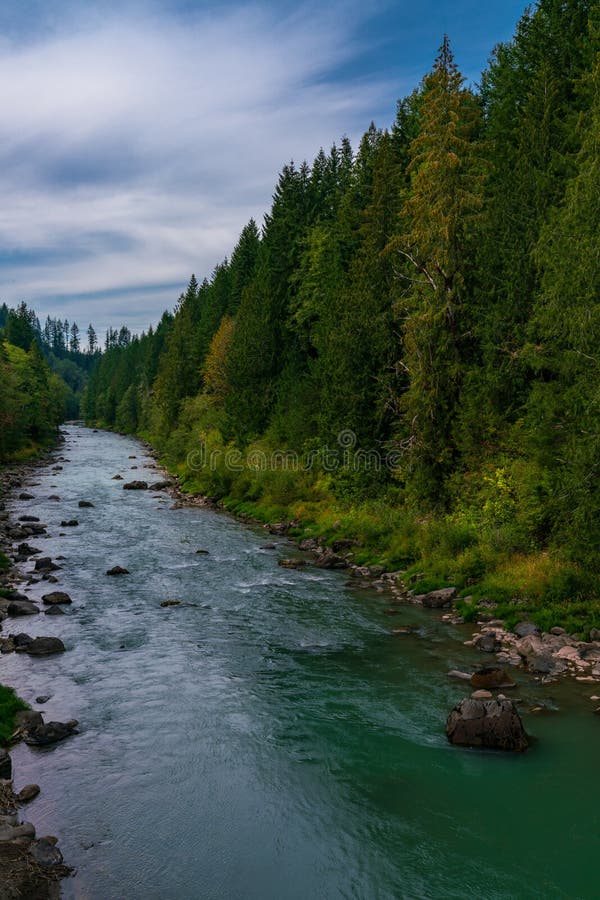 Cispus River Late Summer stock image. Image of tree - 125130893