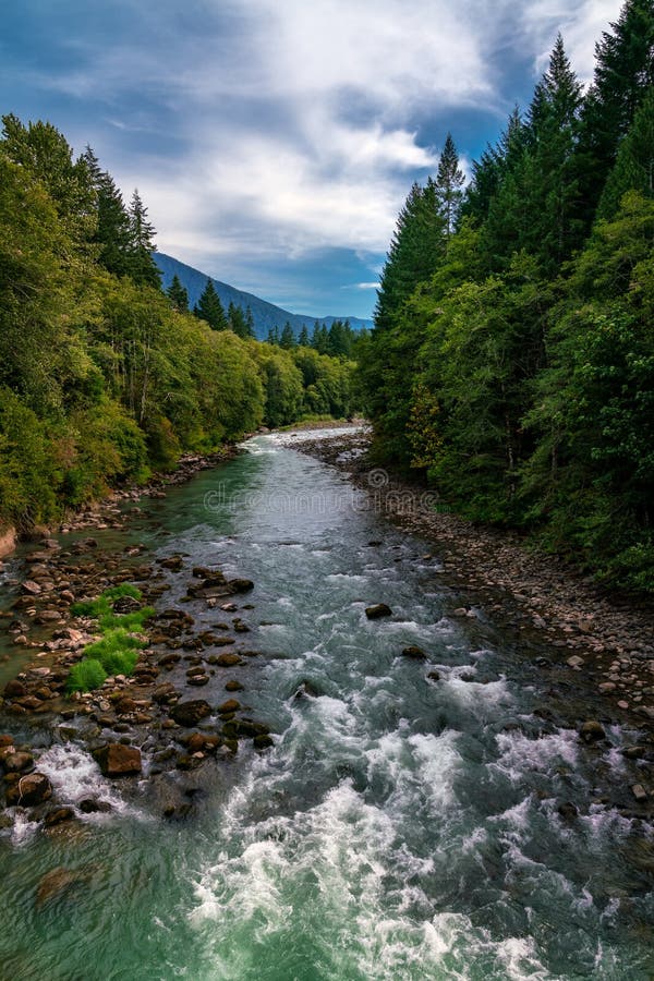 Cispus River Late Summer stock image. Image of tree - 125130893