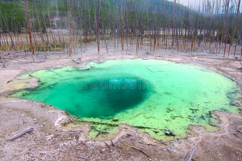 Cistern Spring of Yellowstone Stock Photo - Image of pool, pond: 25666972