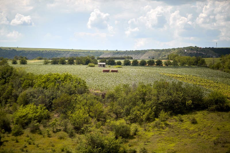 Cistern Standing in the Field Surrounded by Green Vegetation Stock ...