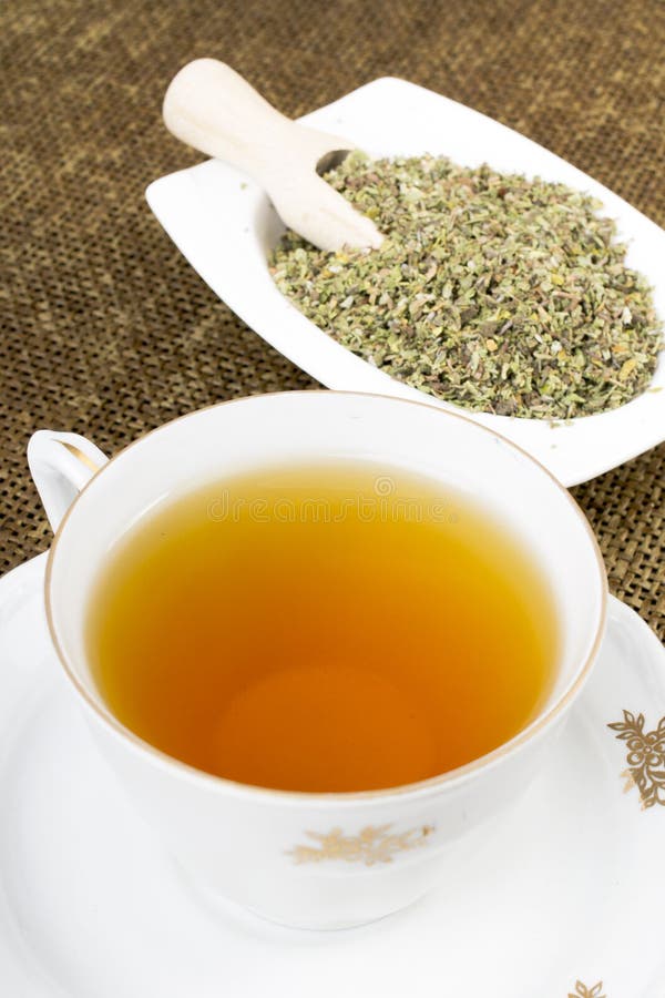 Cistus incanus stock photo. Image of antioxidatively - 48546028