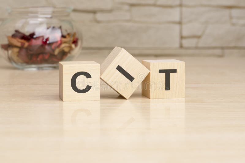 CIT - Acronym from Wooden Blocks with Letters, Top View on Grey ...