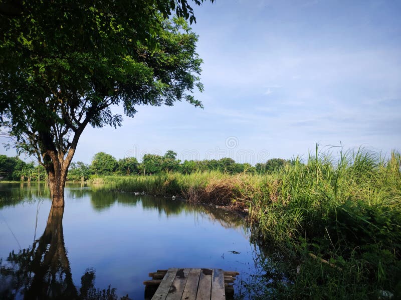 The Citarum River stock photo. Image of landscape, plant - 270573626