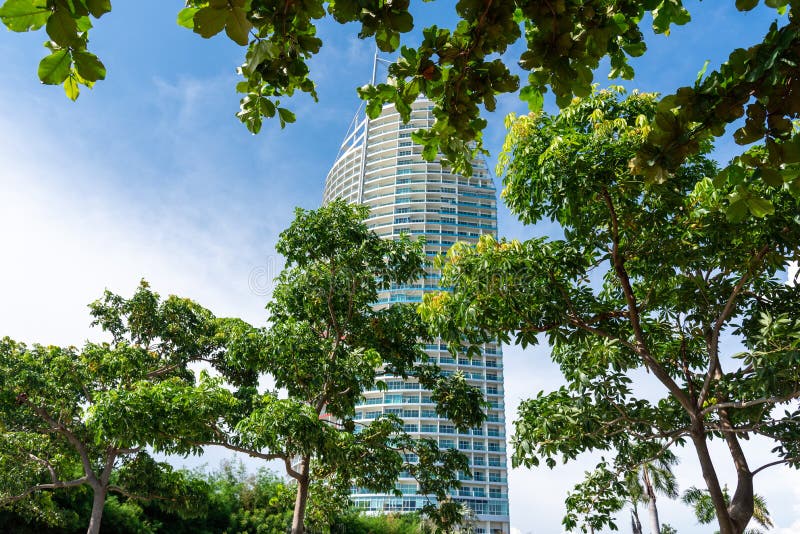 Cities in Nature. Tall Building with Sky Background and Tree for ...