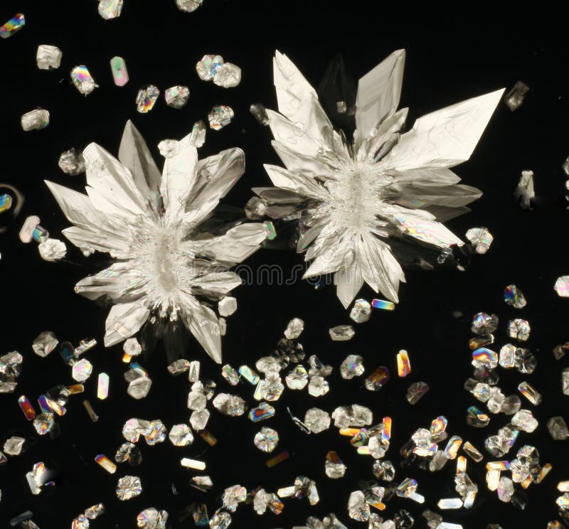 Citric Acid Crystals on Black Stock Photo - Image of crystal, detail ...