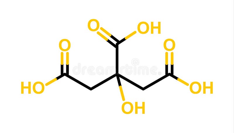Citric Acid Cycle Diagram, Vector Illustration Molecular Scheme Stock ...