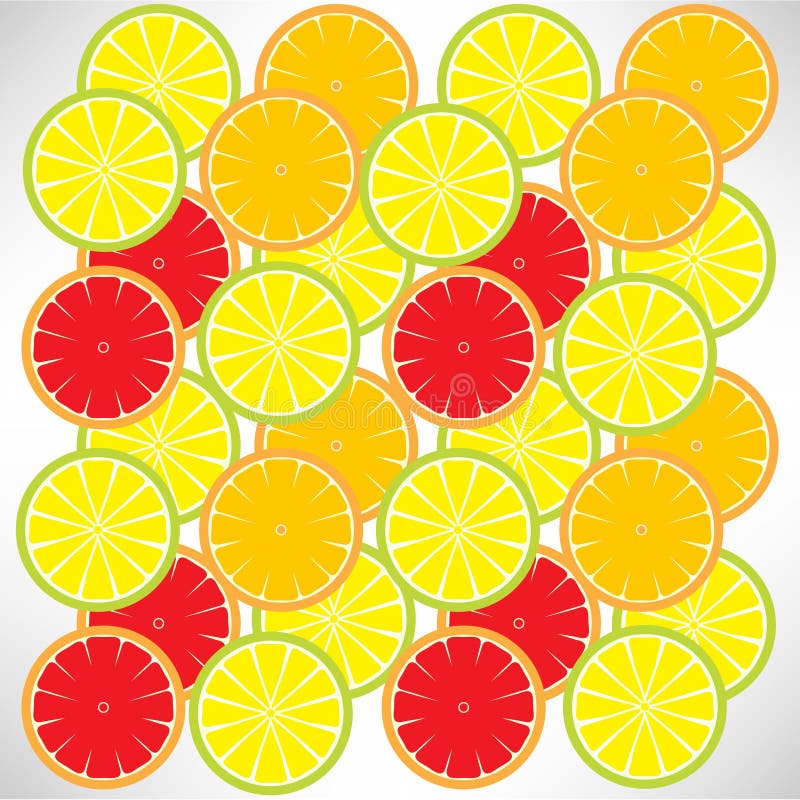 Citric background stock vector. Illustration of citrus - 21542453