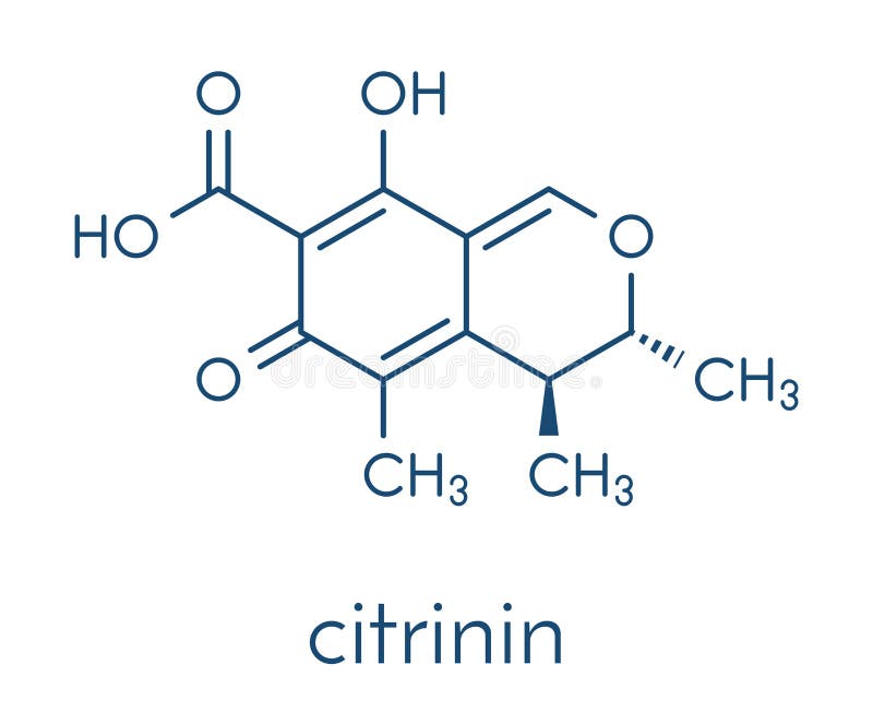 Citrinin Mycotoxin Molecule. Skeletal Formula. Stock Vector ...