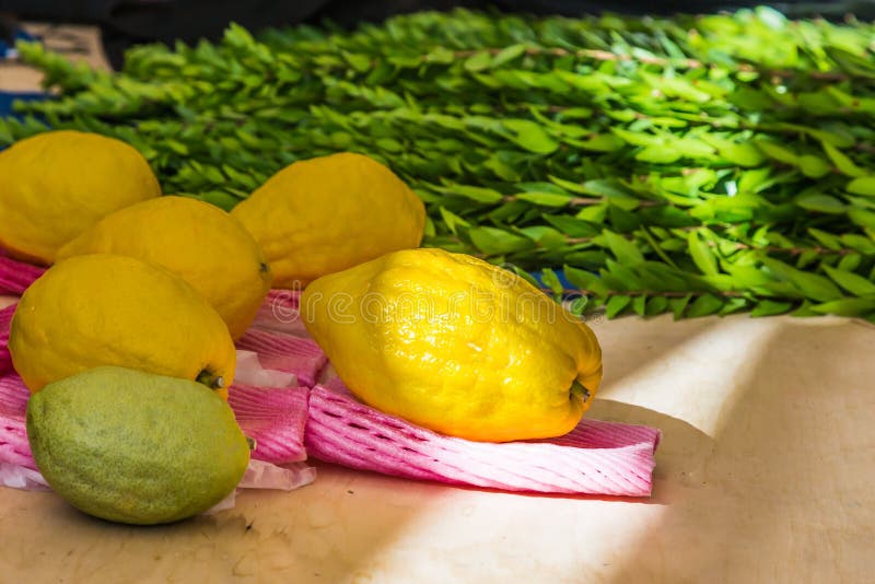 Ramos rituais da murta imagem de stock. Imagem de cultura - 59029727