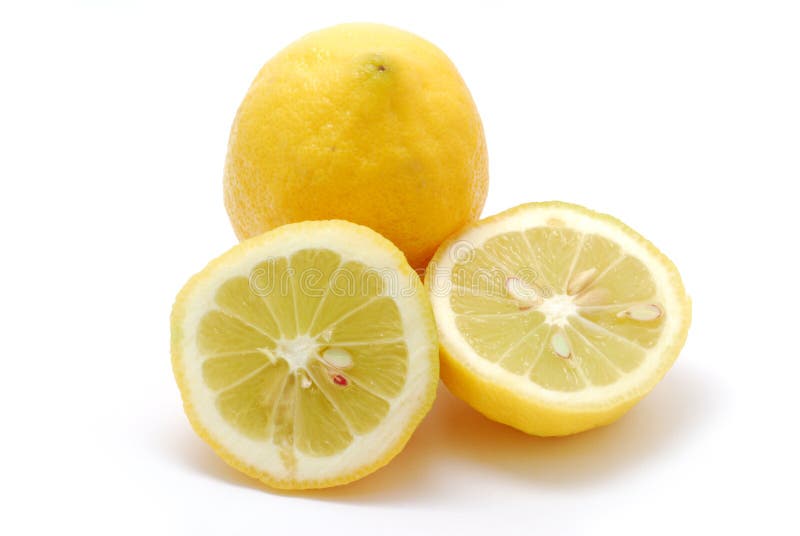 Citron stock photo. Image of fruit, isolated, citric - 30430284
