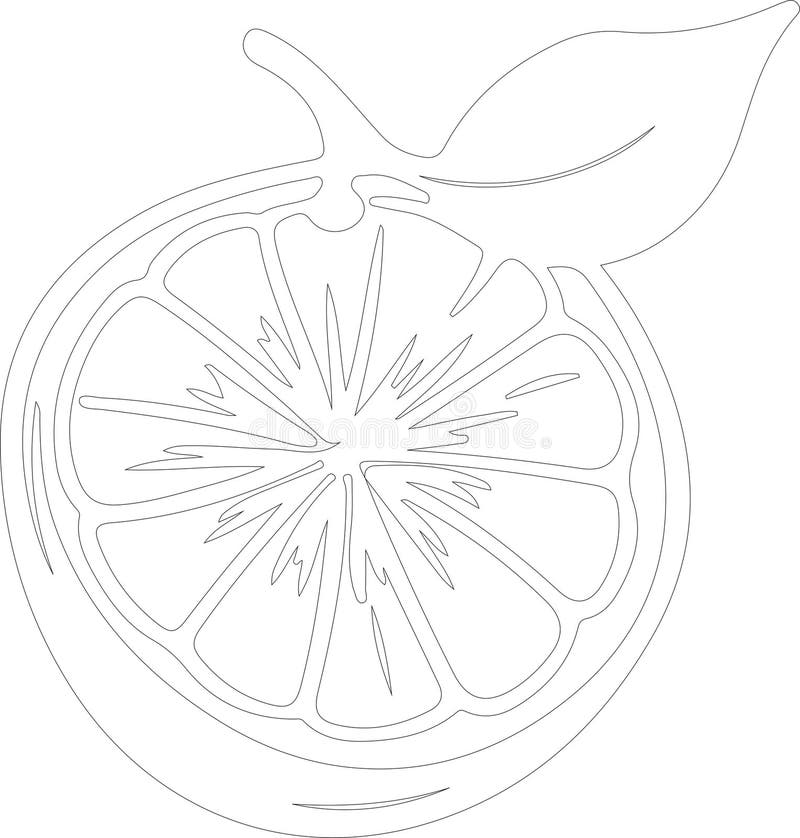 Citron Outline Silhouette Generative Ai Stock Vector - Illustration of ...