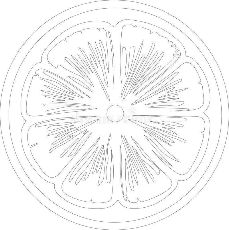 Citron Outline Silhouette Generative Ai Stock Vector - Illustration of ...