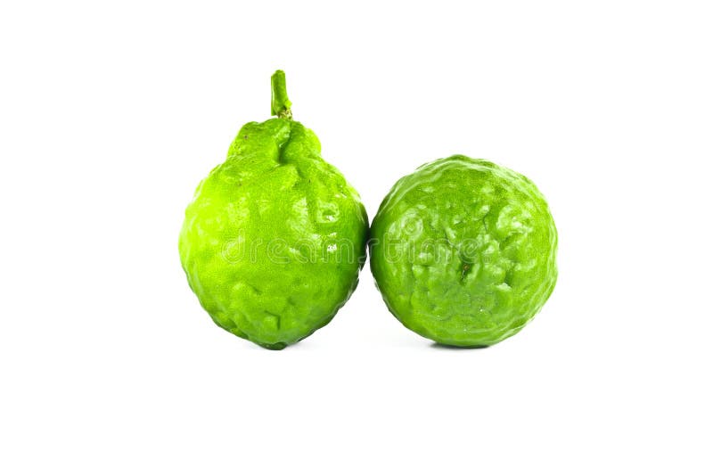 Citron sur le fond blanc image stock. Image du isolat - 23192083