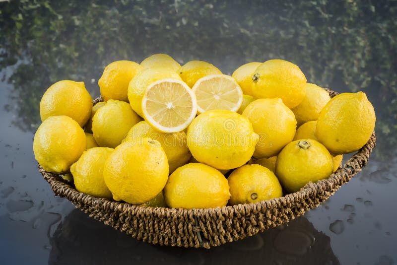 Citroner fotografering för bildbyråer. Bild av citrusfrukter - 101966581