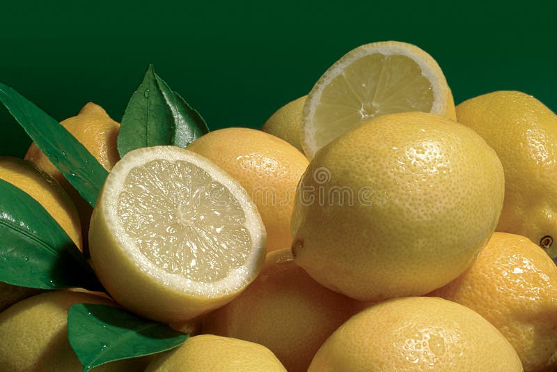 Citroner fotografering för bildbyråer. Bild av citron, saftigt - 117475