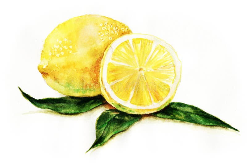 Citroner stock illustrationer. Illustration av kokkonst - 14506896